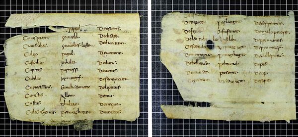 Abrogans (althochdeutsch) und Samanunga worto – Historisches Lexikon ...